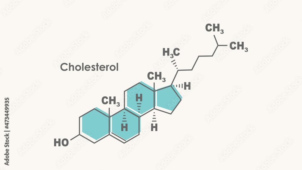 Structural chemical formula of cholesterol. Infographics illustration ...