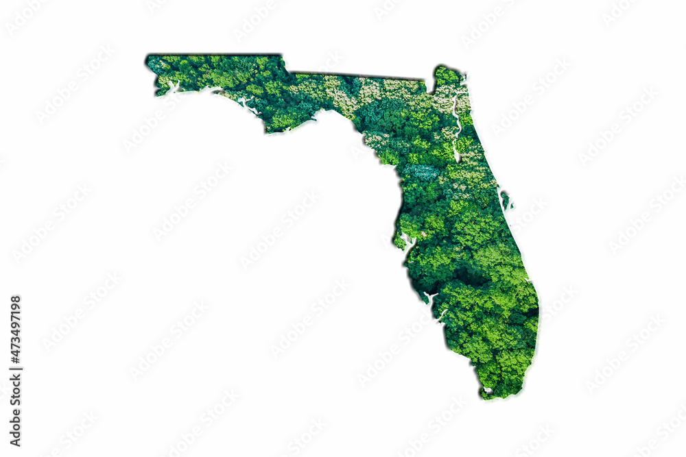 Green Forest Map of Florida Stock Photo | Adobe Stock