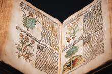 Old Book Of Illustrations Free Stock Photo - Public Domain Pictures