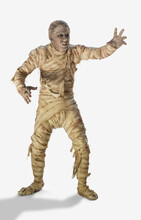 Mummy Free Stock Photo - Public Domain Pictures