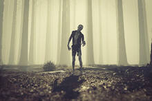 Zombie Free Stock Photo - Public Domain Pictures