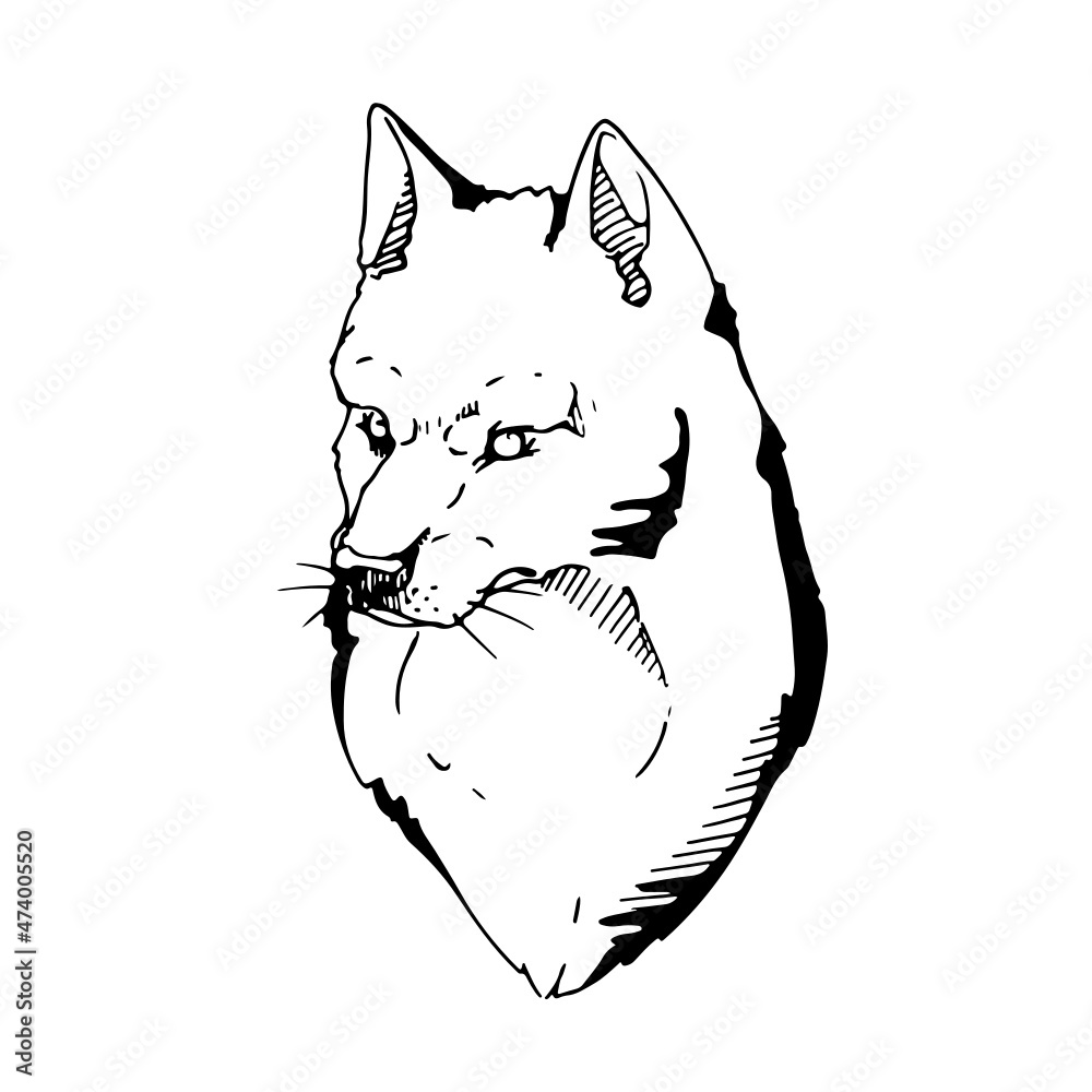 Wolf Head Looking Left Animal Line Art Silhouette Design Element Art ...