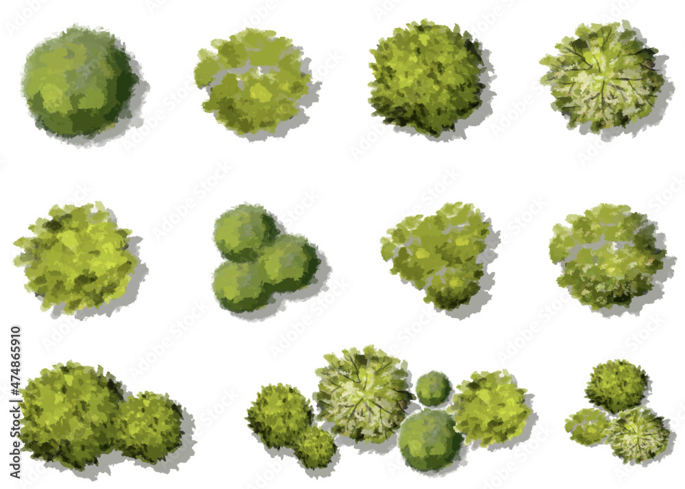 Vector of abstract watercolor tree top view isolated on white ...