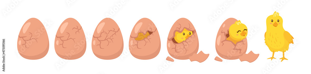 Hatching process. Vector cartoon illustration. White background. Stock ...