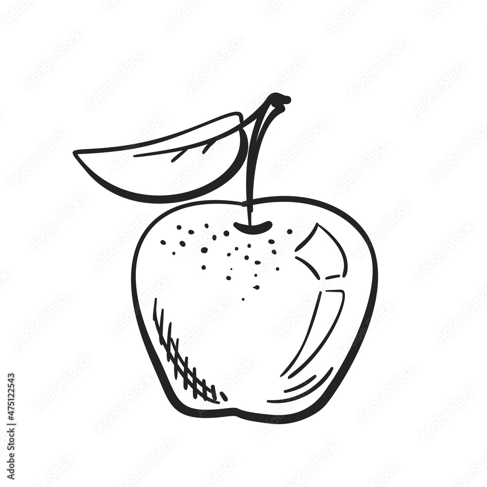 Apple doodle isolated simple drawing on white background, Fruit cartoon ...