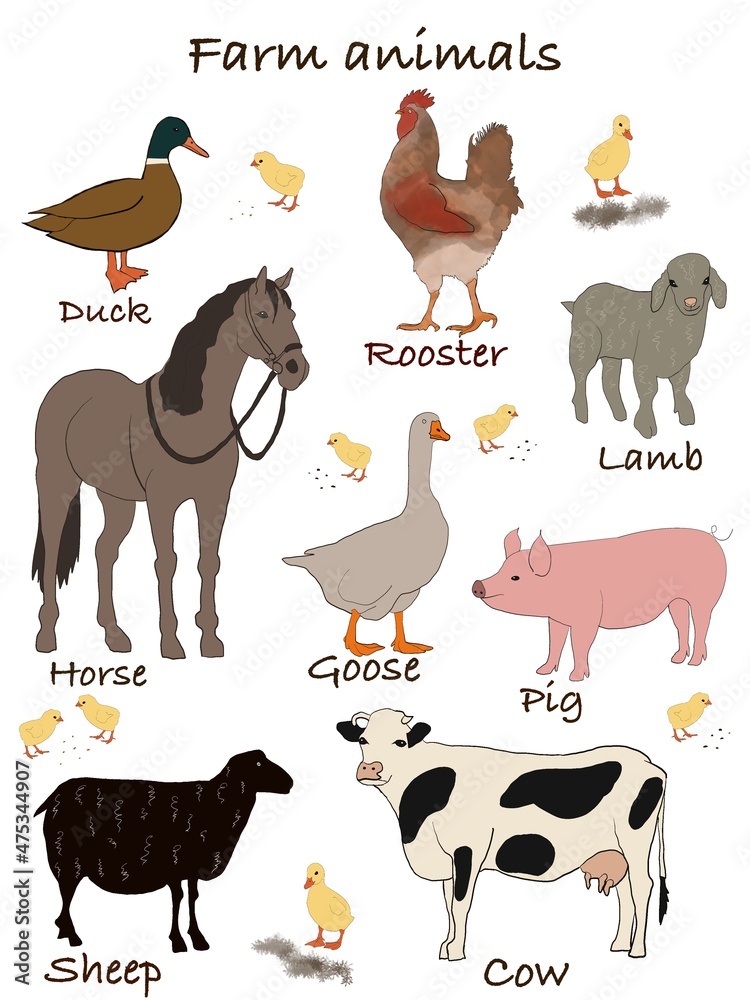 Poster with farm animals. Illustration. Cow, sheep, horse, lamb, pig ...