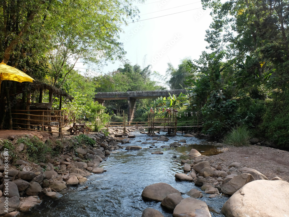 bamboo bridge over the river and rocks in the wood. Nan river under ...