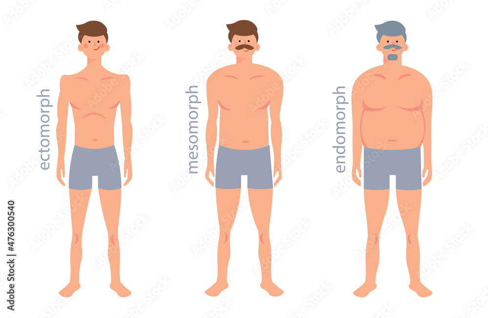 Ilustración de Stock Somatic types, shapes of human body: ectomorph ...