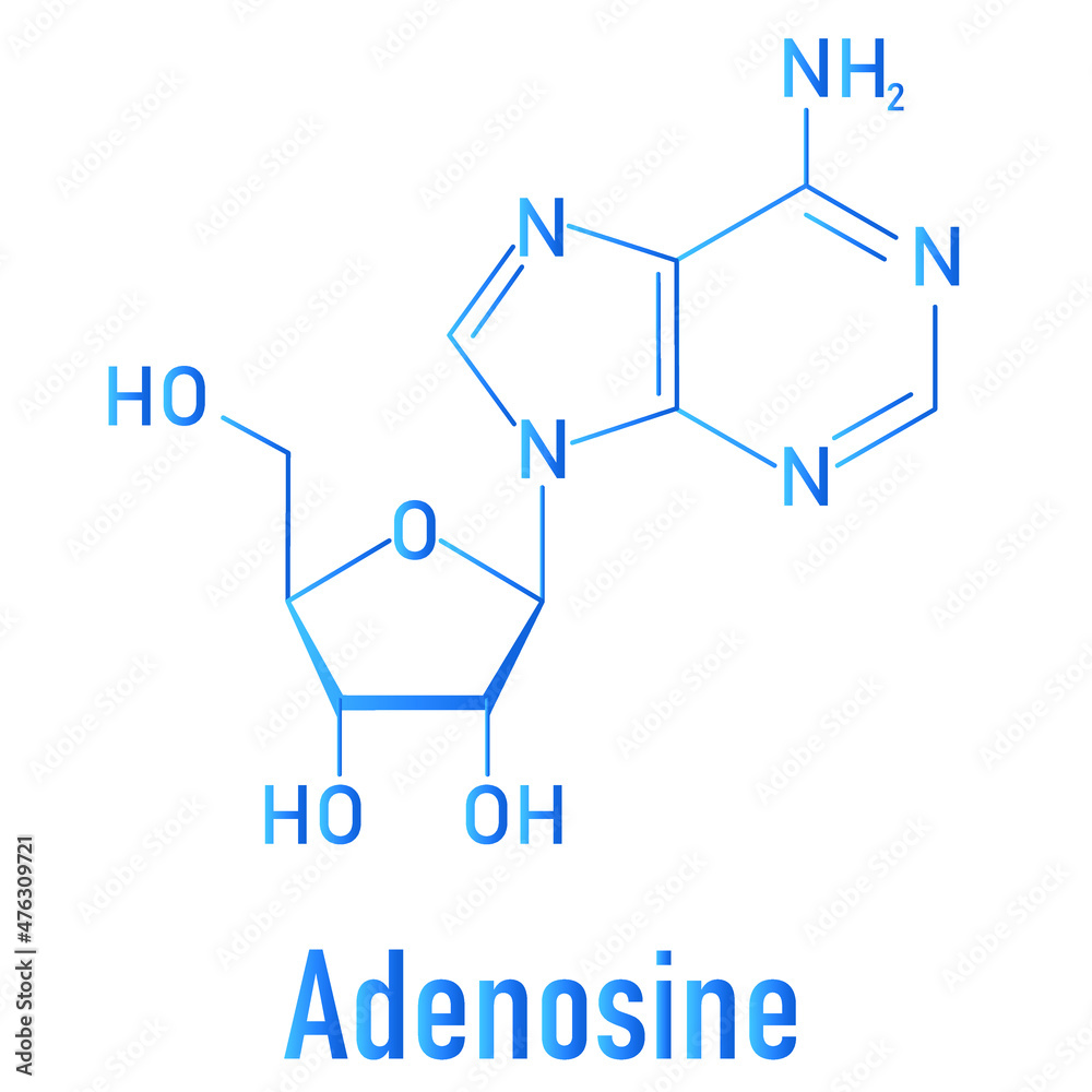 Adenosine or Ado purine nucleoside molecule. Important component of ATP ...
