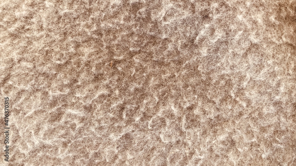 texture of a fleece Stock Photo | Adobe Stock