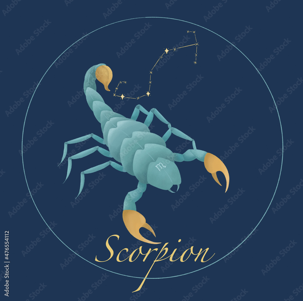 Zodiac sign Scorpion horoscope symbol. Mystical astrology elements ...