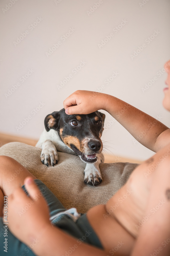 Jack russel terrier pup Lovely scene handsom teen boy enjoying summer ...