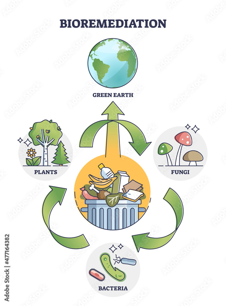 Bioremediation process as bacteria usage for green earth outline ...
