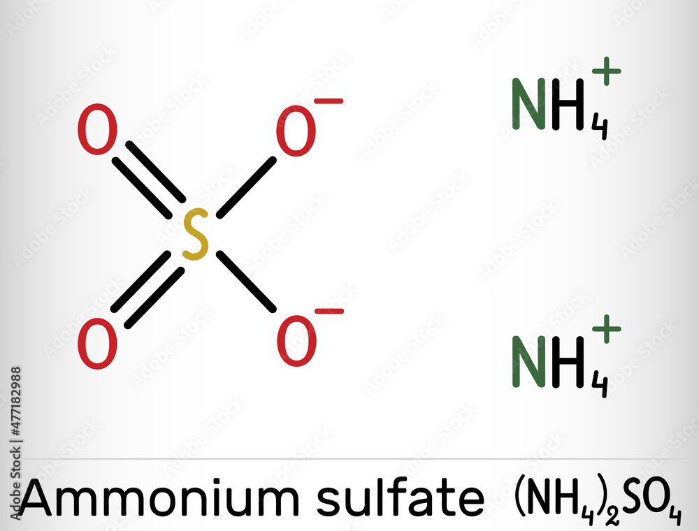 Ammonium sulfate, ammonium sulphate molecule. It is inorganic sulfate ...