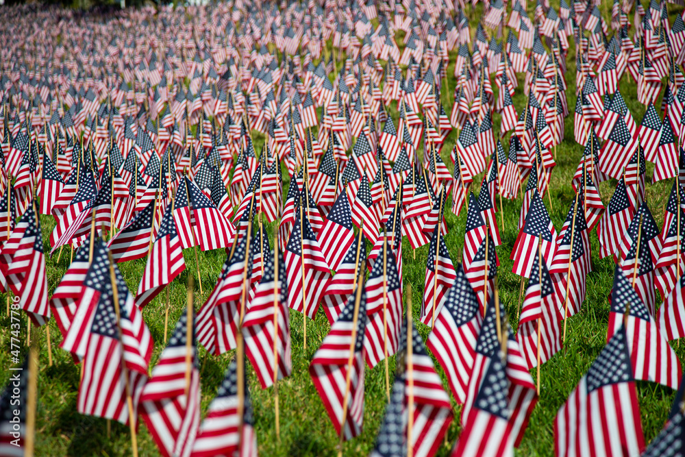 Hundreds of American flags planted on the lawn in America Stock Photo ...