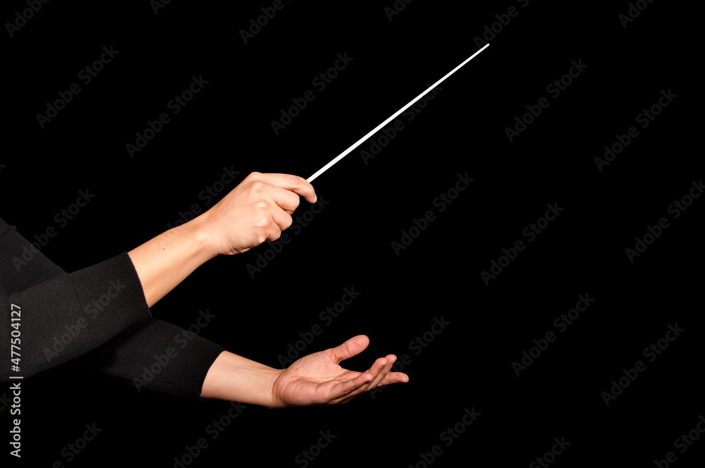 Orchestra woman conductor music conducting. Hands of conductor with ...