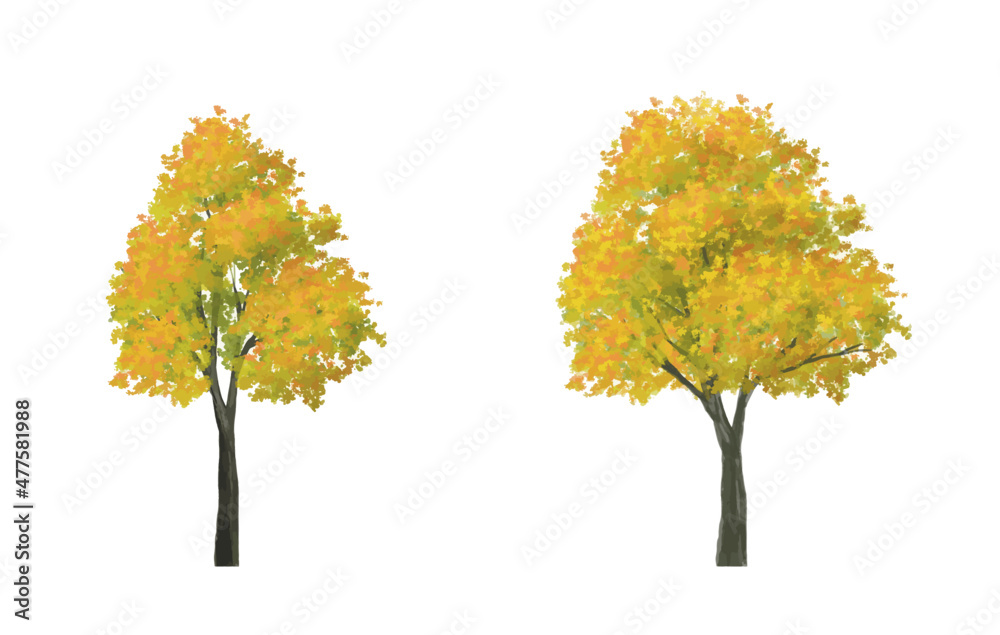 Vector of abstract watercolor tree side view isolated on white ...