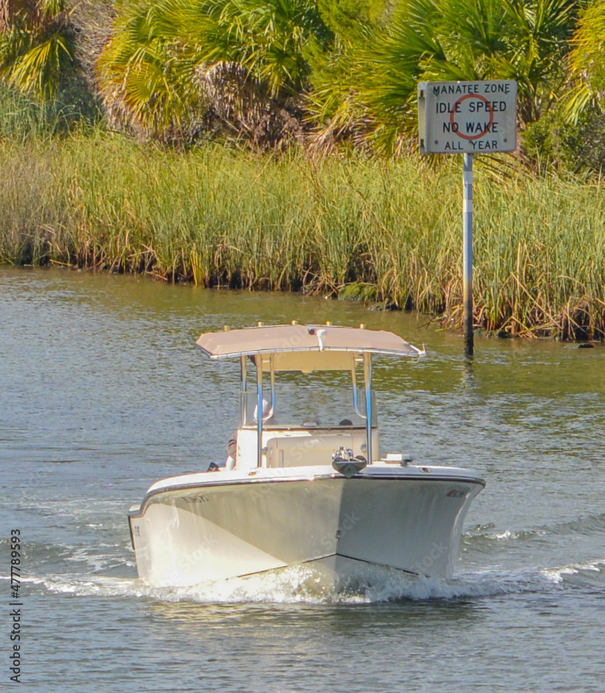 Crystal River has natural springs feeding it. Crystal River Preserve ...