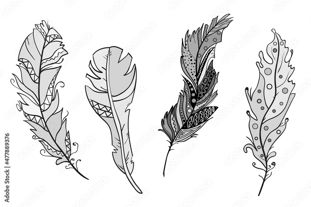Feathers on isolated white. Design Zentangle. Hand drawn feathers with ...