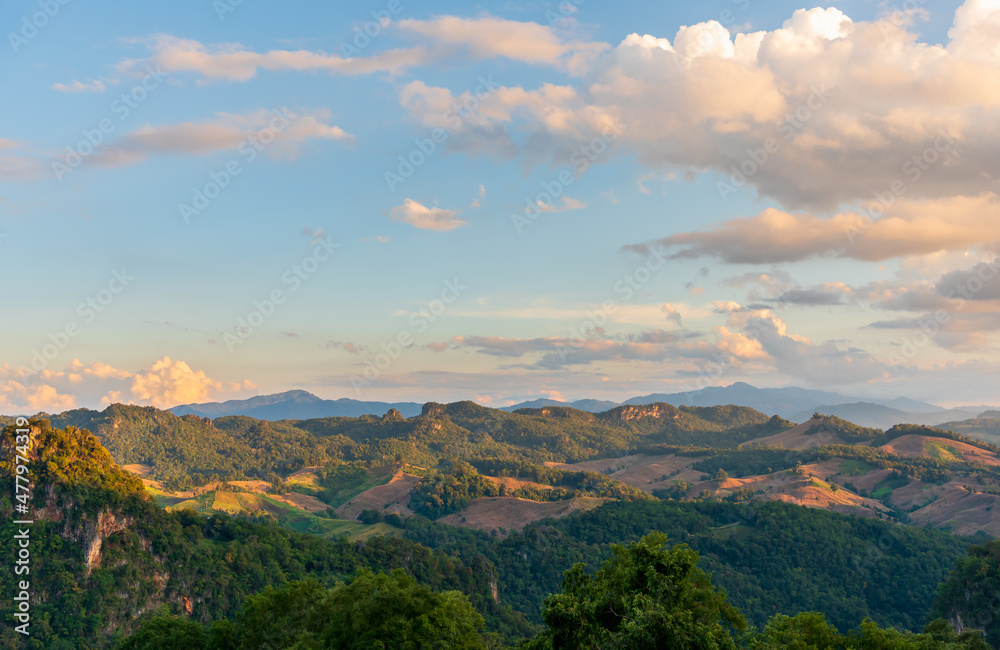 Scenery of mountain and tropical forest, deforestation for shifting ...