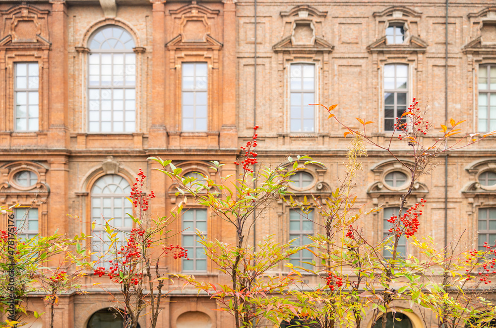 Branches with red berries and colorful leaves against the background of ...