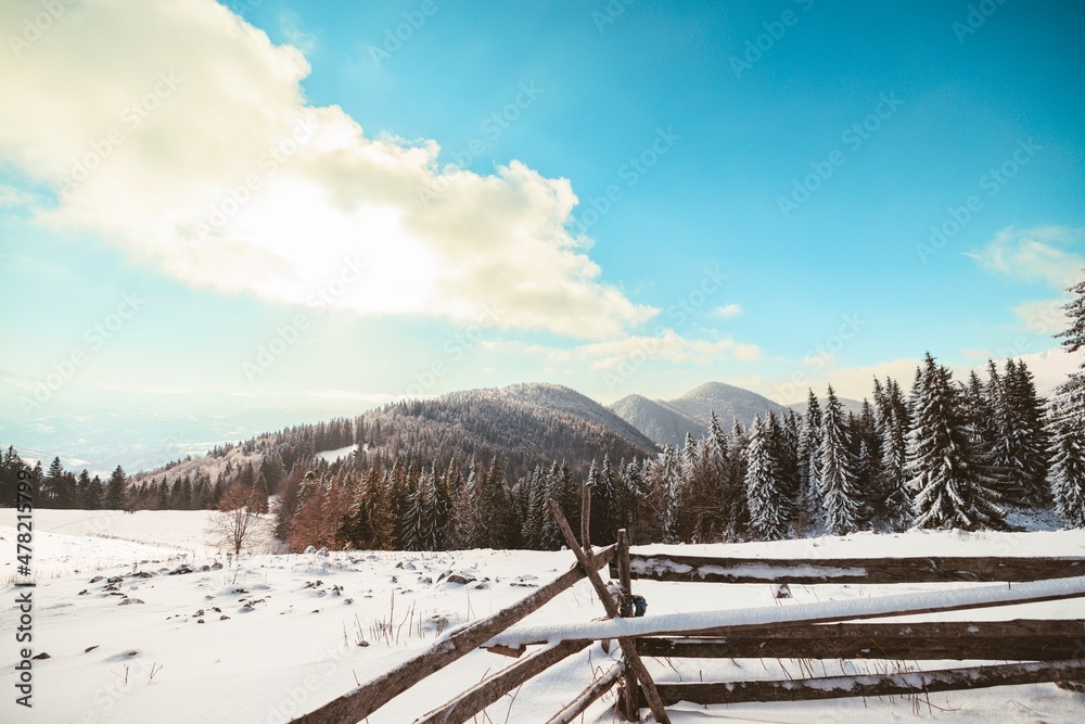 Sheepfold in the mountain. Poiana Zanoaga in valley, Piatra Craiului ...