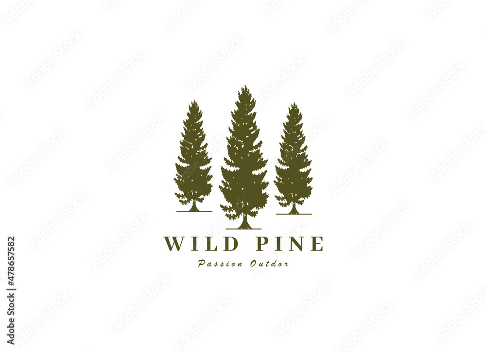 Rustic Retro Vintage cedar, cypress, larch, spruce, pine, pinus ...