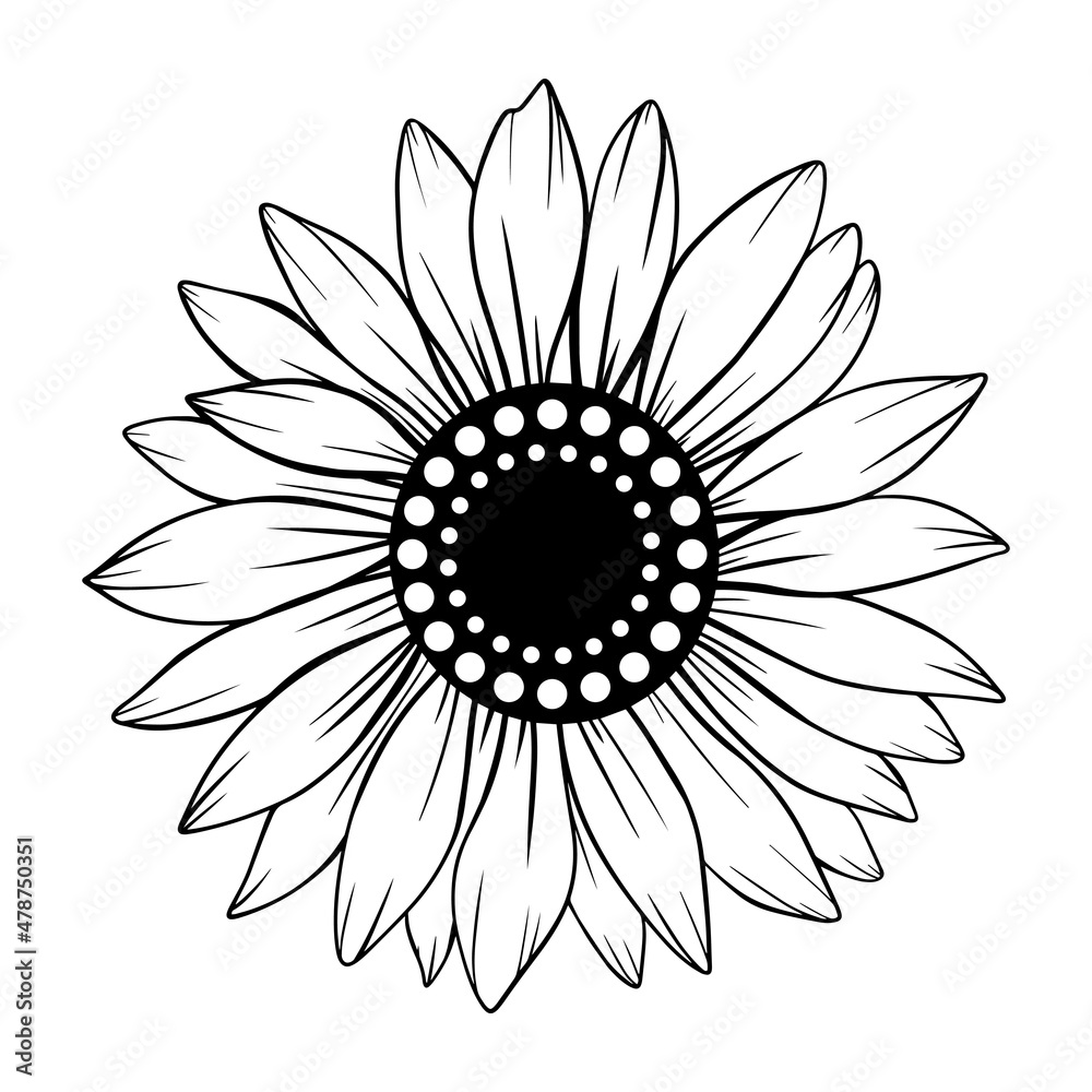 Sunflower Outline, Sunflower Line Art, Floral Line Drawing, black and ...