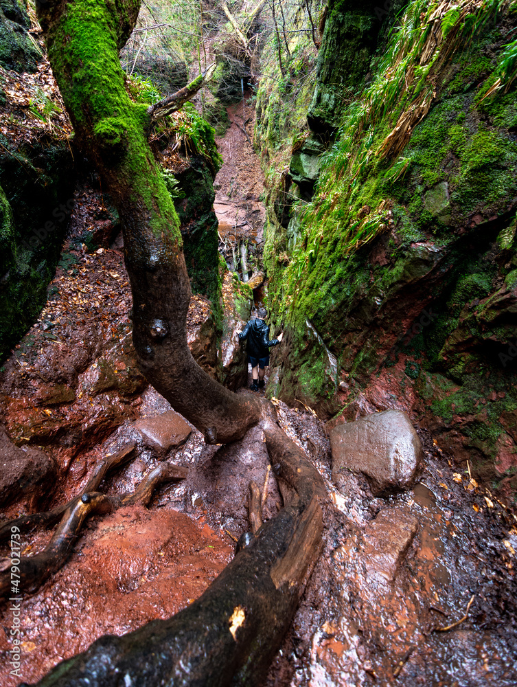 The Devils Pulpit, Finnich Glen, Scotland - Waterfall & stream flowing ...