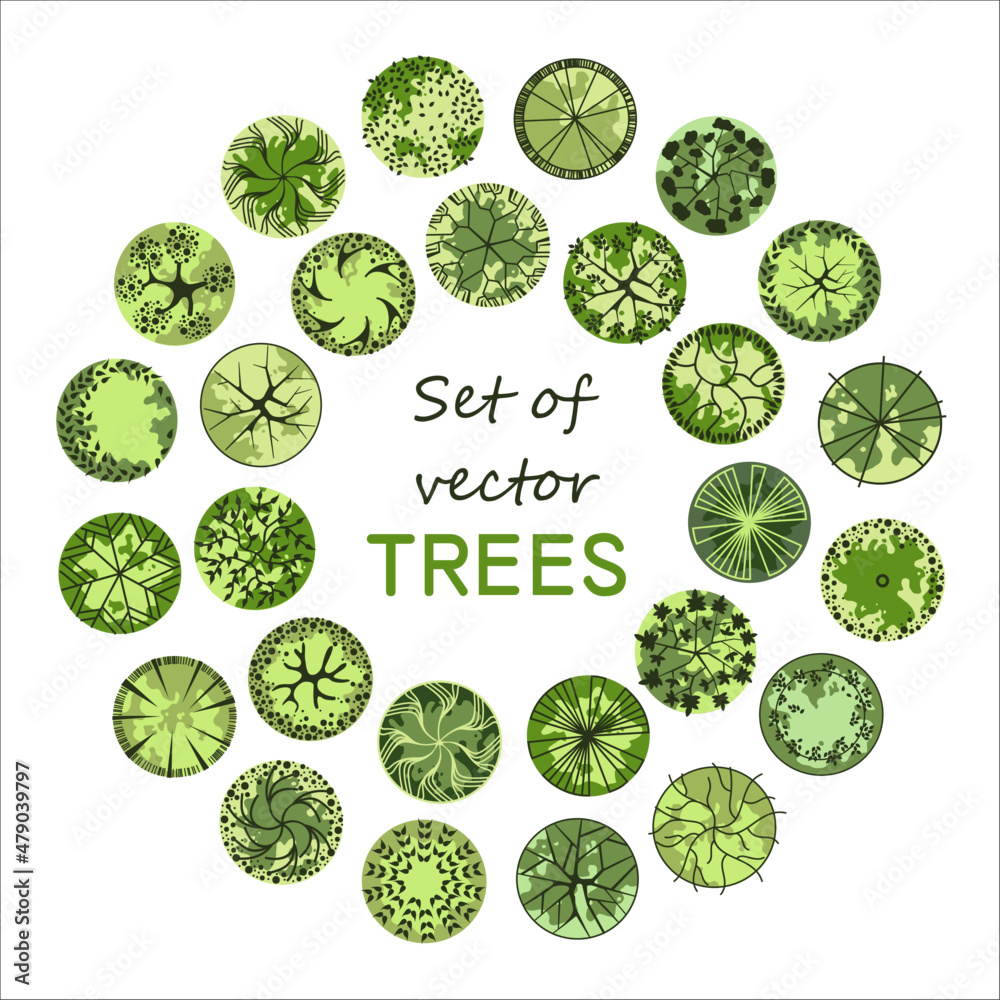 Trees for the master plan. Tree for architectural floor plans ...