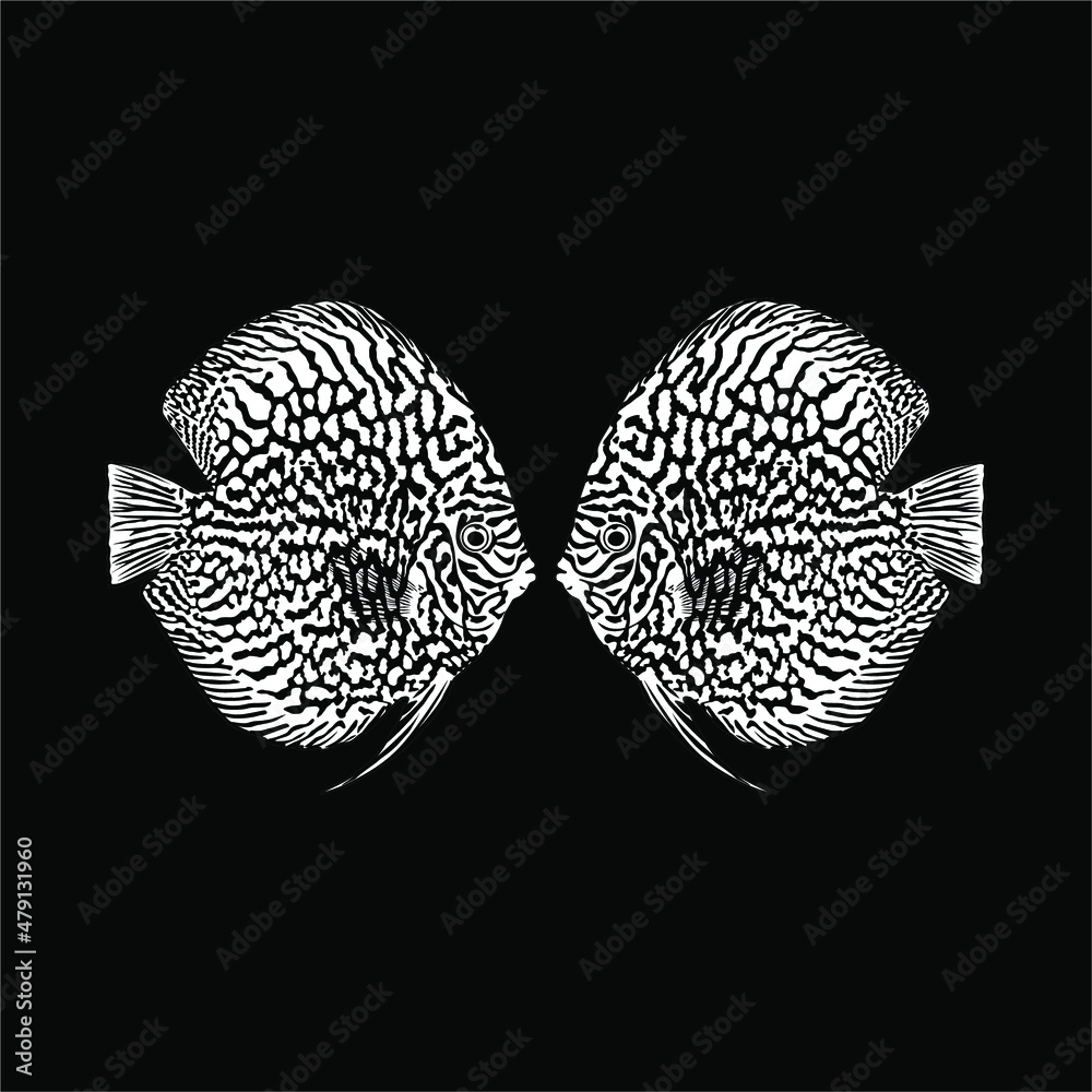 Symphysodon, colloquially known as Discus Fish, Silhouette Illustration ...