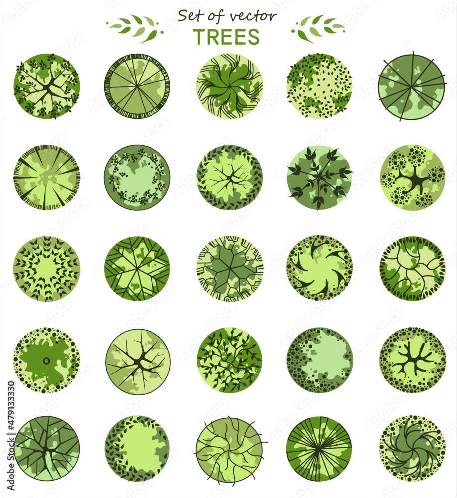 Trees for the master plan. Tree for architectural floor plans ...