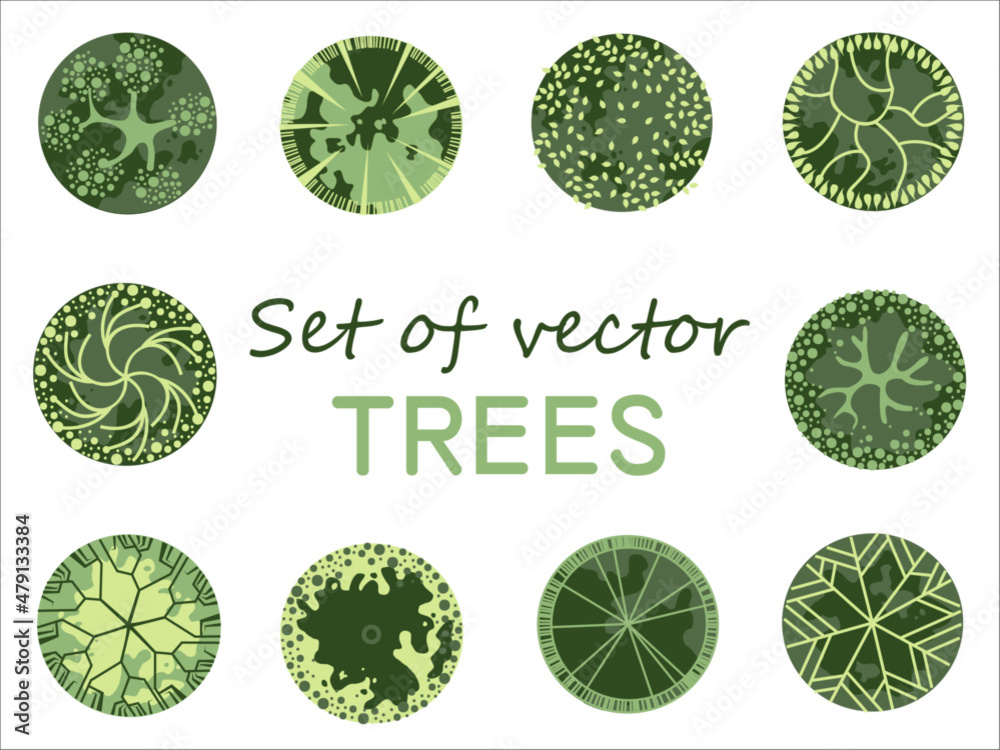 Trees for the master plan. Tree plans for architectural floor plans or ...