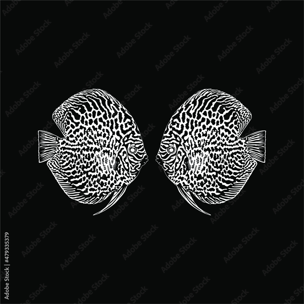 Symphysodon, colloquially known as Discus Fish, Silhouette Illustration ...