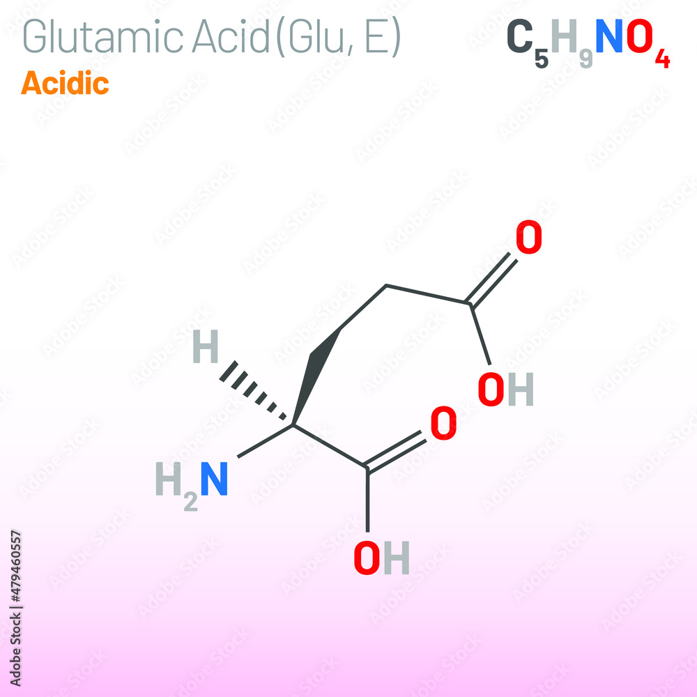 Glutamic Acid (Glu, E) amino acid molecule. (Chemical formula C5H9NO4 ...