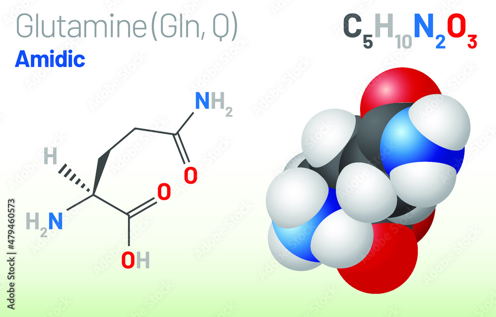 Glutamine (Gln, Q) amino acid molecule. (Chemical formula C5H10N2O3 ...