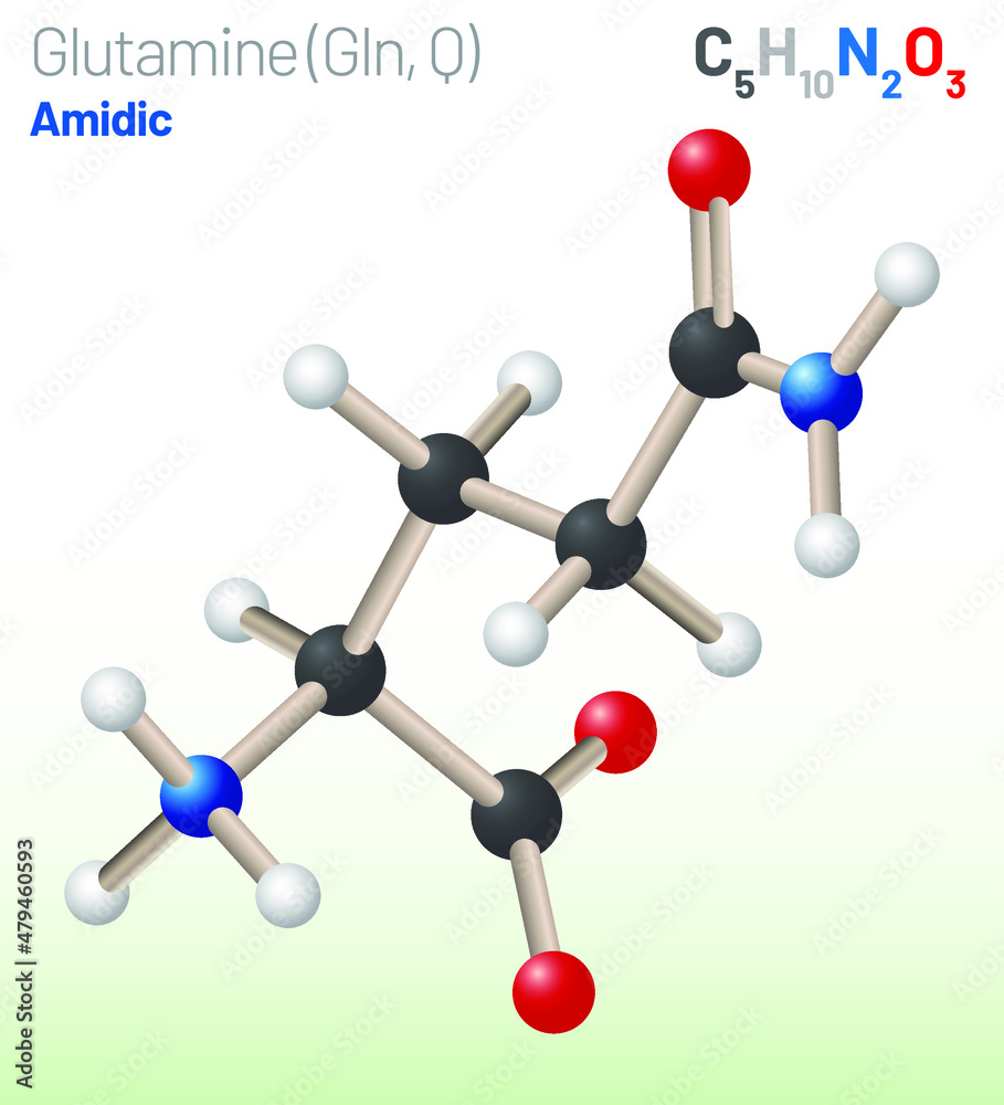 Glutamine (Gln, Q) amino acid molecule. (Chemical formula C5H10N2O3 ...