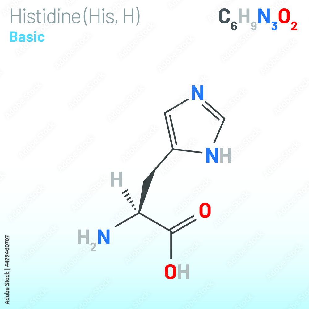 Vector de Stock Histidine (His, H) amino acid molecule. (Chemical ...