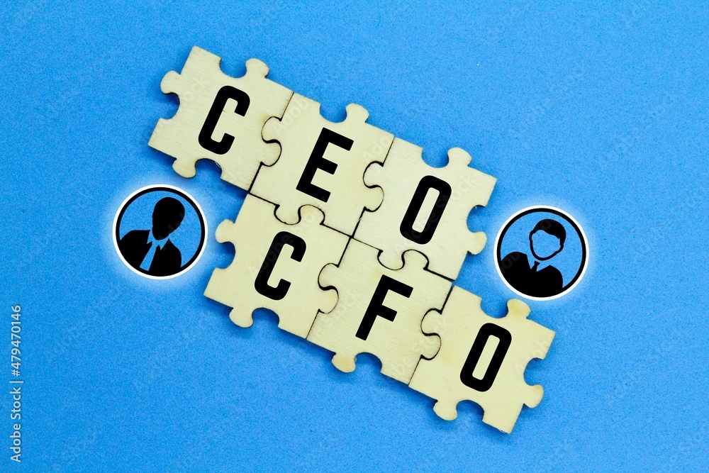 the difference between a ceo and a cfo. letters of the CEO and CFO ...