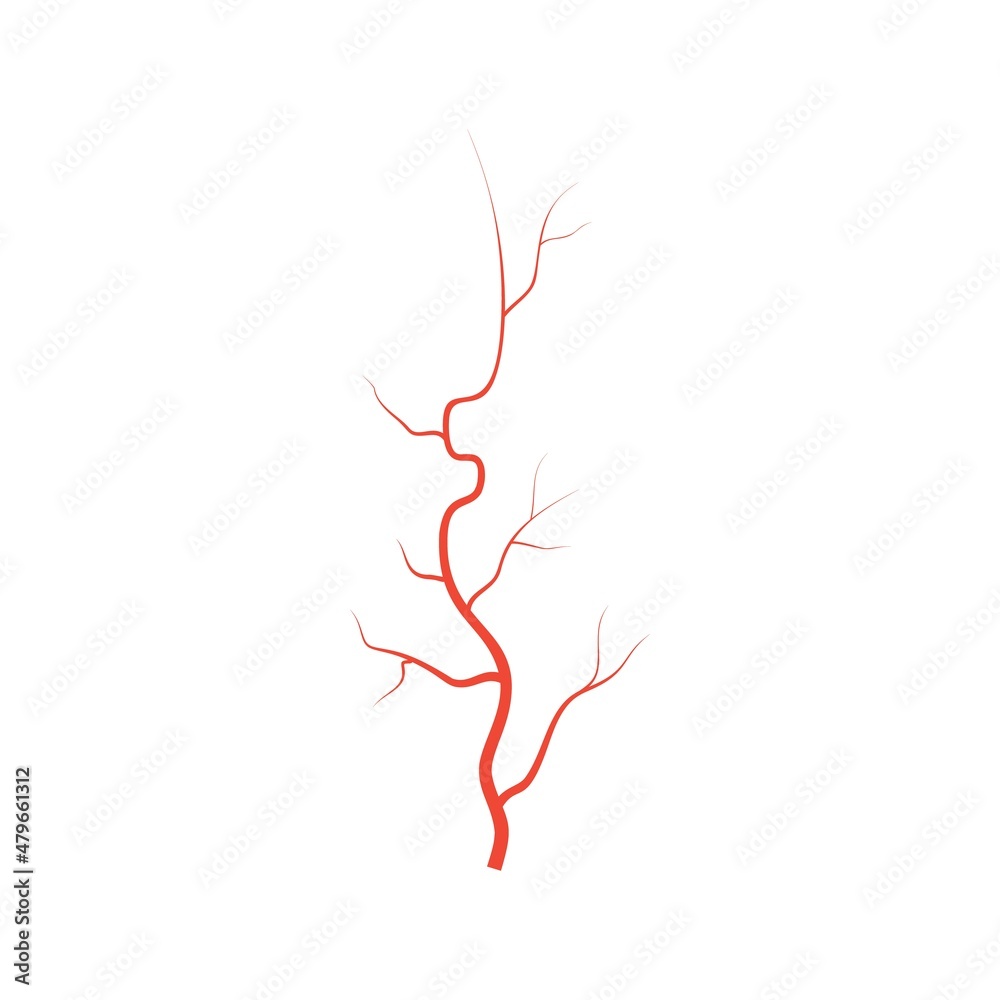 Human red eye veins, anatomy blood vessel arteries illustration. Vector ...