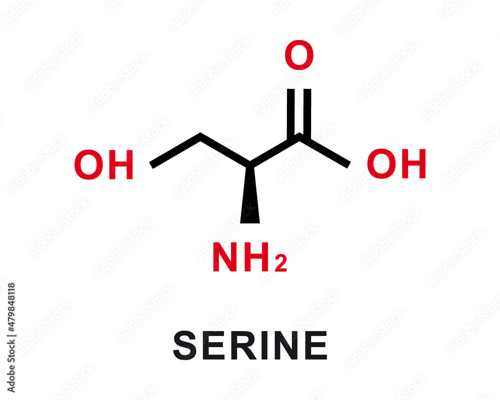 Serine chemical formula. Serine chemical molecular structure. Vector ...