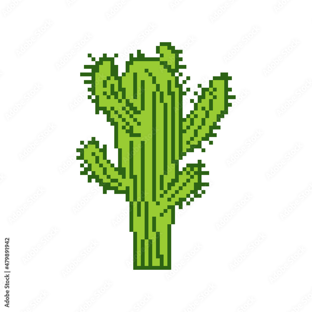 Cactus pixel art. 8 bit Cactus isolated. pixelated vector illustration の Stock ベクター | Adobe Stock