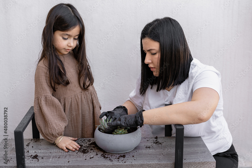 Mother and daughter planting together in home. Young mom and little ...