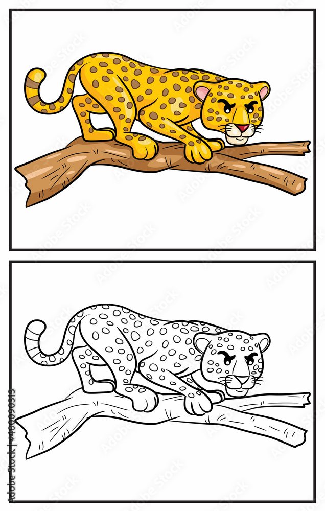 Coloring book cute leopard. Coloring page and colorful clipart ...