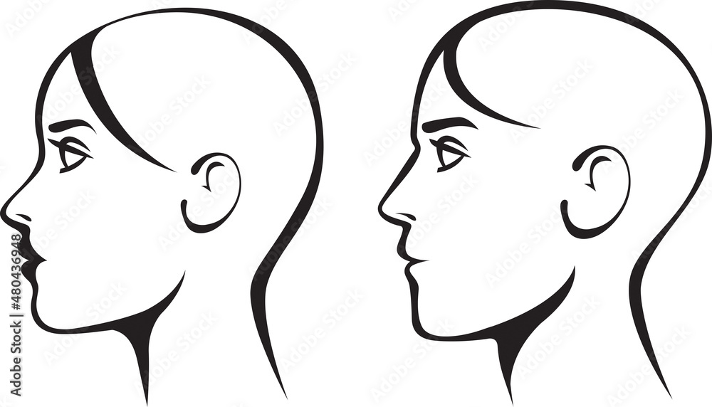 Stylized linear silhouettes of a female and male head isolated on a ...