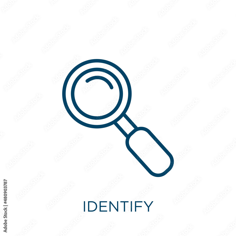identify icon. Thin linear identify, security, identity outline icon ...