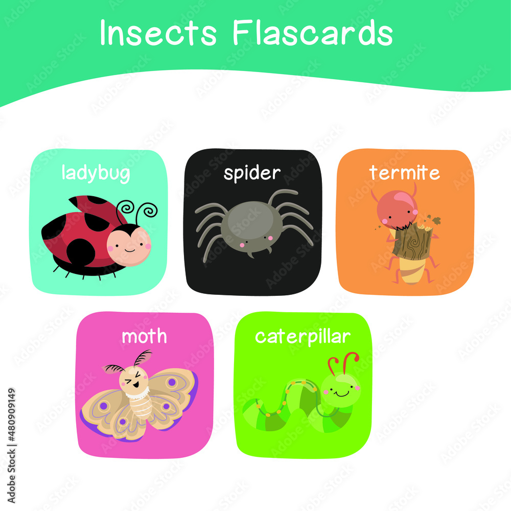 Insects Game Flashcards for Preschool Children. Cute flashcards for ...