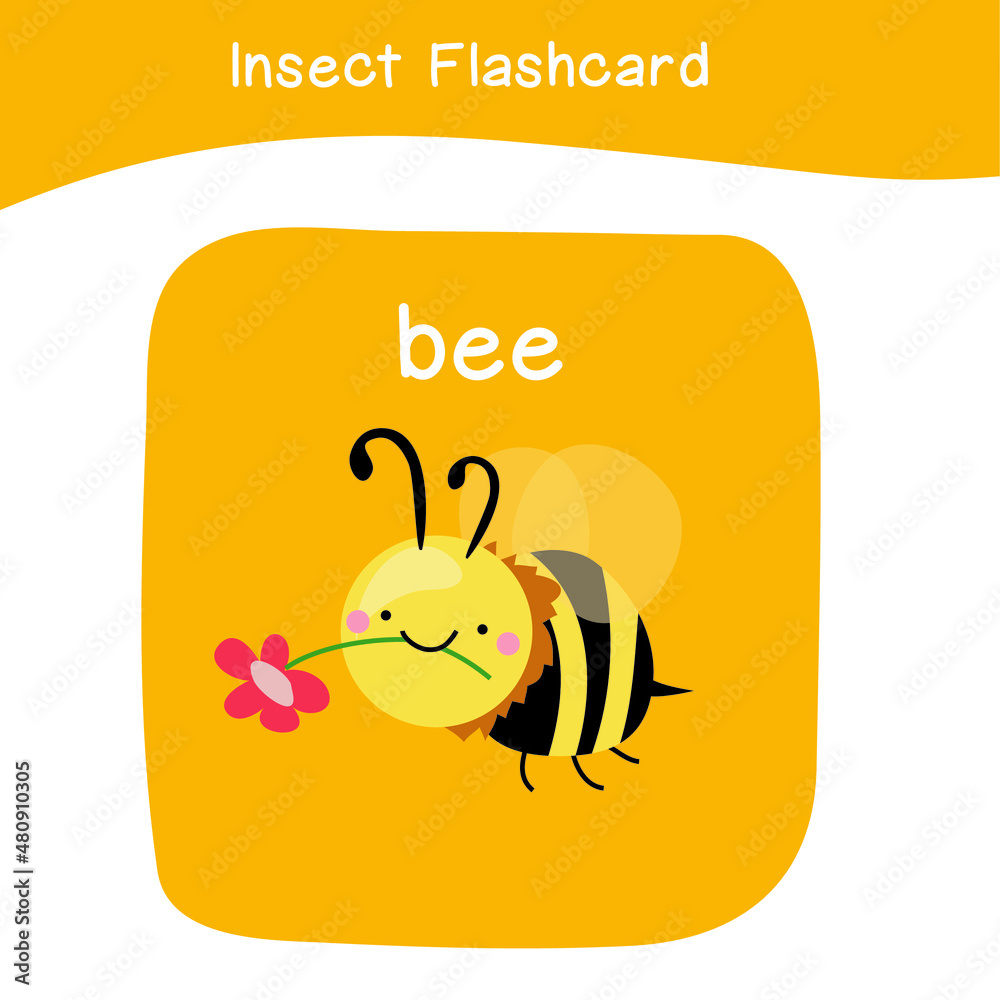 Insect name and cute cartoon image flashcard. Cute flashcards for ...