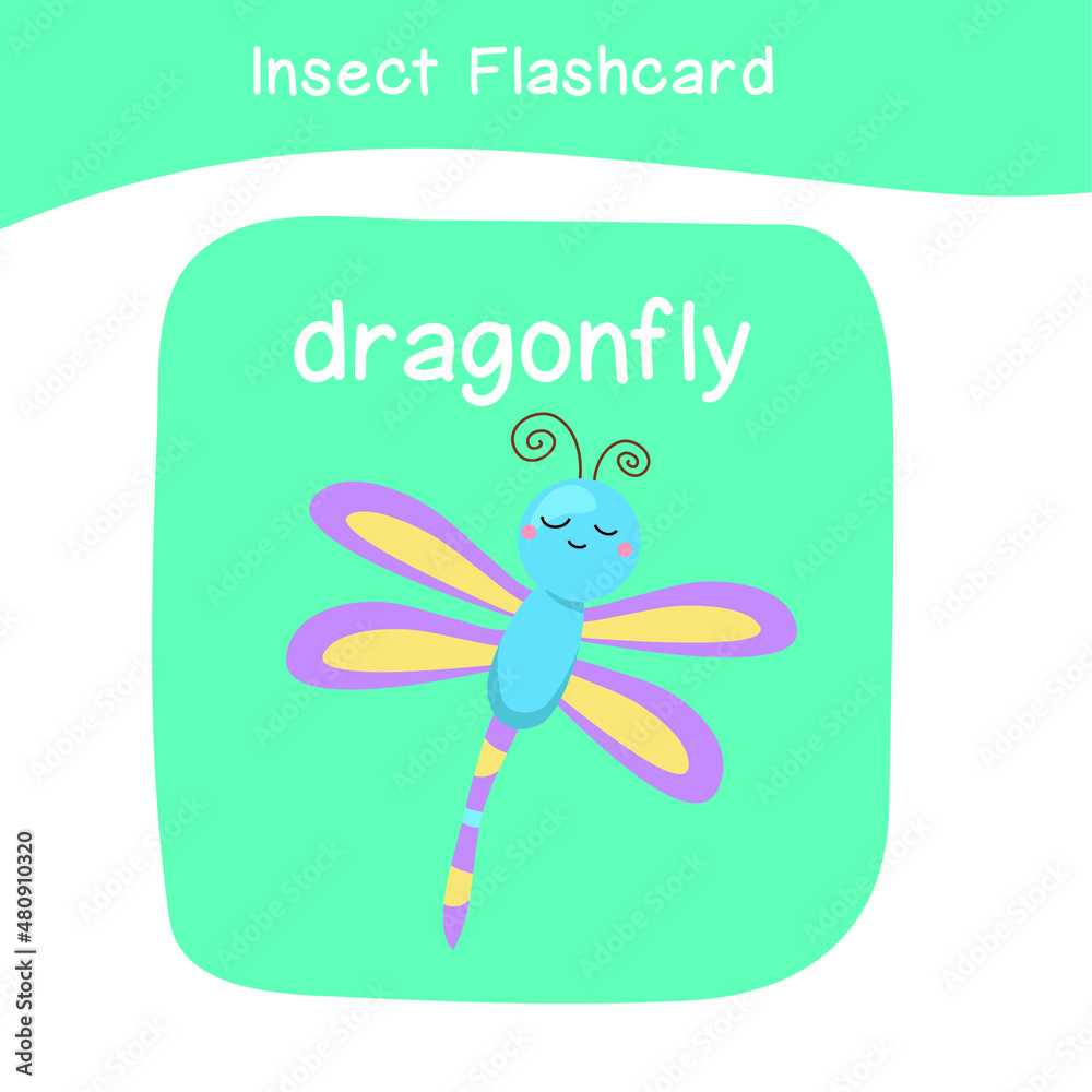 Insect name and cute cartoon image flashcard. Cute flashcards for ...