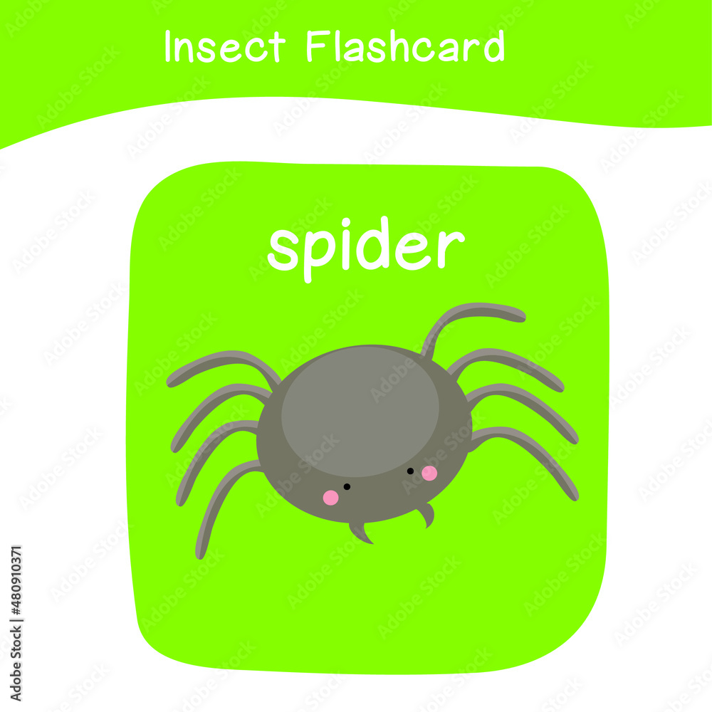 เวกเตอร์ Stock Insect name and cute cartoon image flashcard. Cute ...